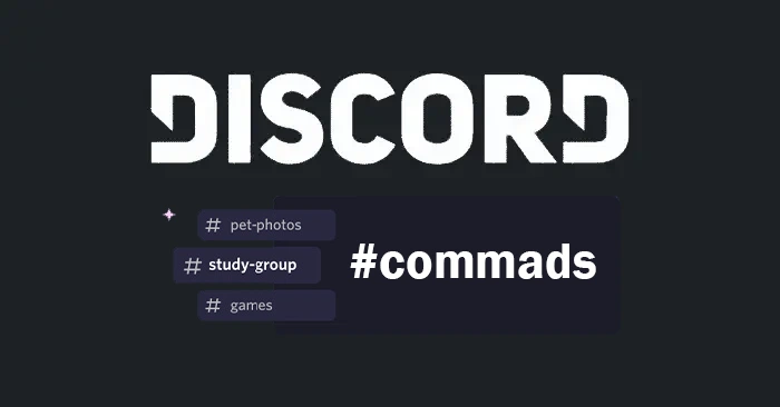 6 Best Discord Commands To Try In 2024