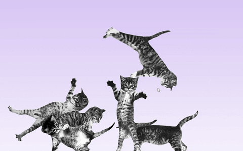 10 Coolest Websites You Must Visit Before You Die