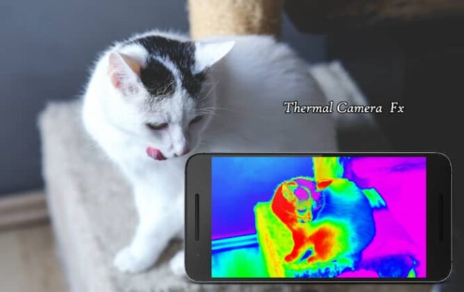 8 Best Infrared Camera Apps for Android & iOS