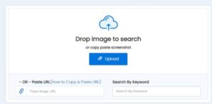 Find Your Doppelganger: 9 Best Tools To Find Your Look alike (2024)