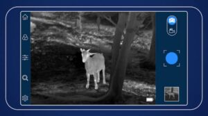 8 Best Infrared Camera Apps for Android & iOS