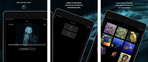 6 Ways to Turn a Video Into a Live Photo (Android/iOS)