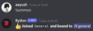 How to Use Rythm Bot Discord (Rythm Bot Commands)