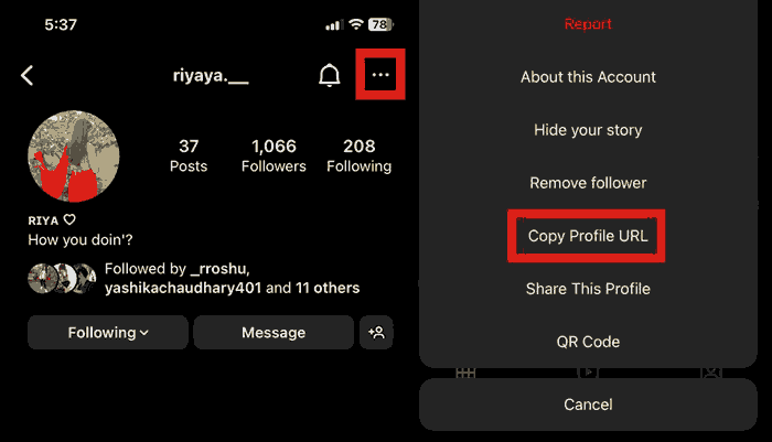 4 Ways to Copy and Share Instagram Profile Link (2024)