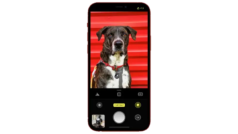 7 Ways to Fix iPhone Camera Keeps Refocusing